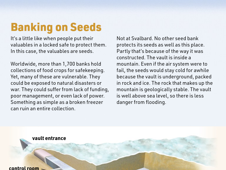 Banking on Seeds and Making a Deposit - Food for the Future ...