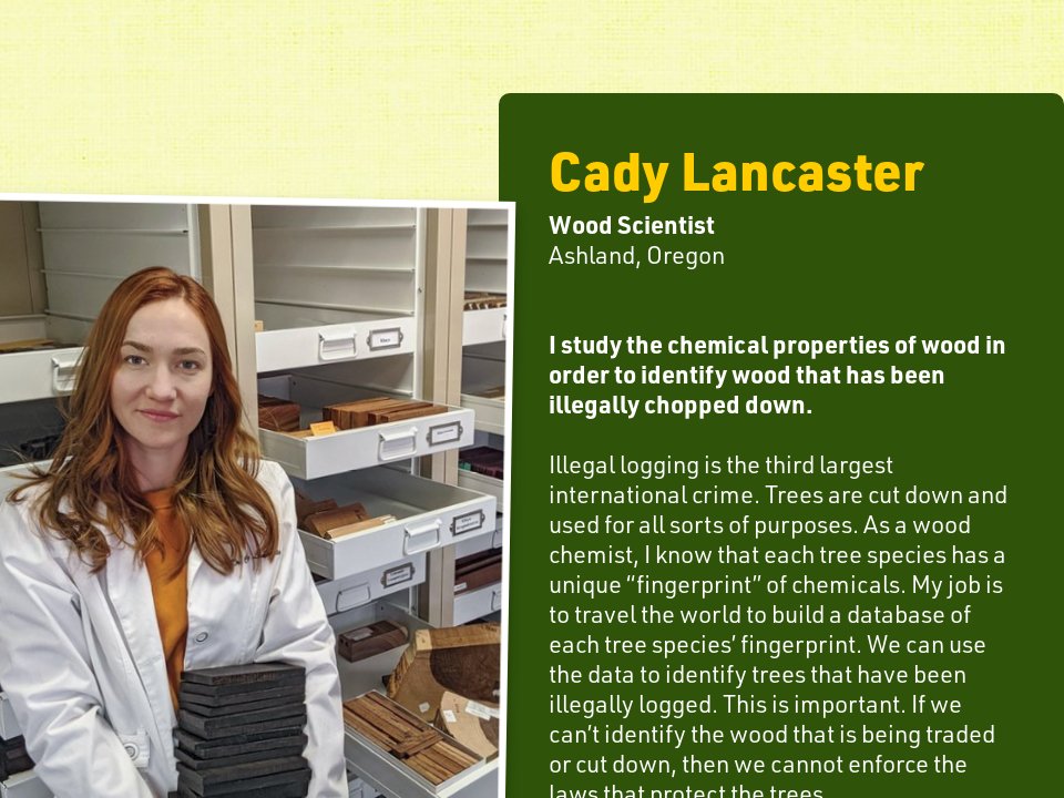 Explorer Classroom - Adventurer April 2020