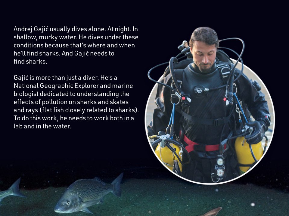 Digging for Information & Digging Deeper - Digging Up History ...