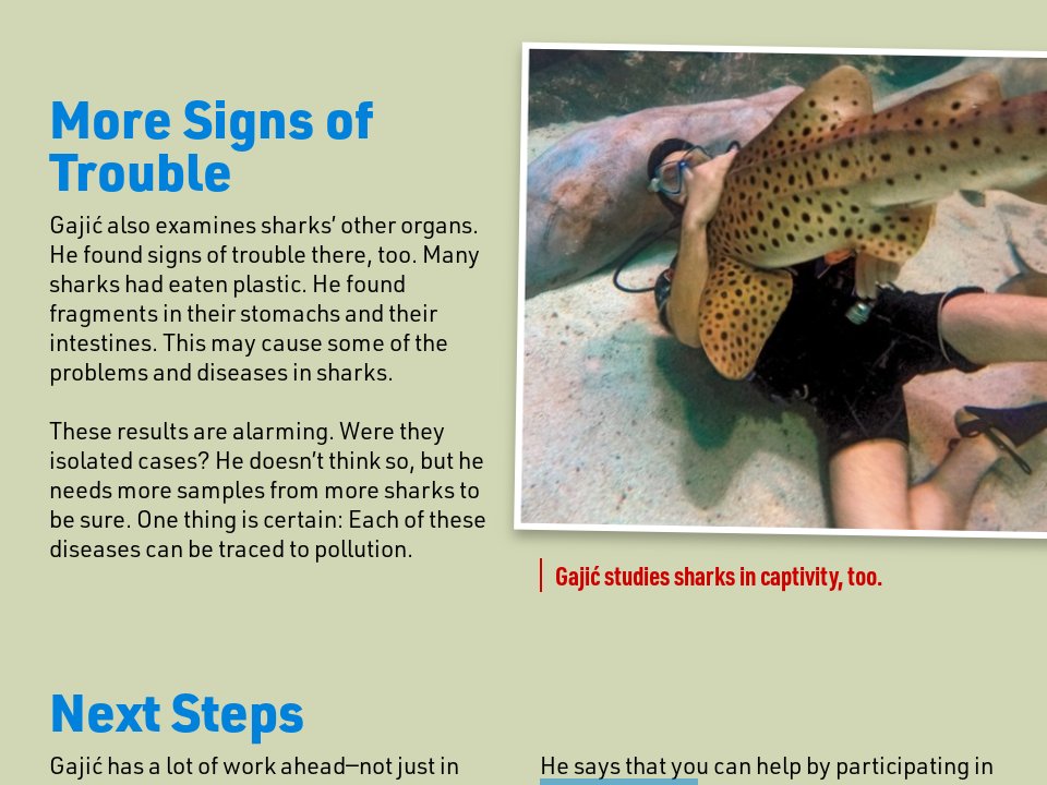 Digging for Information & Digging Deeper - Digging Up History ...