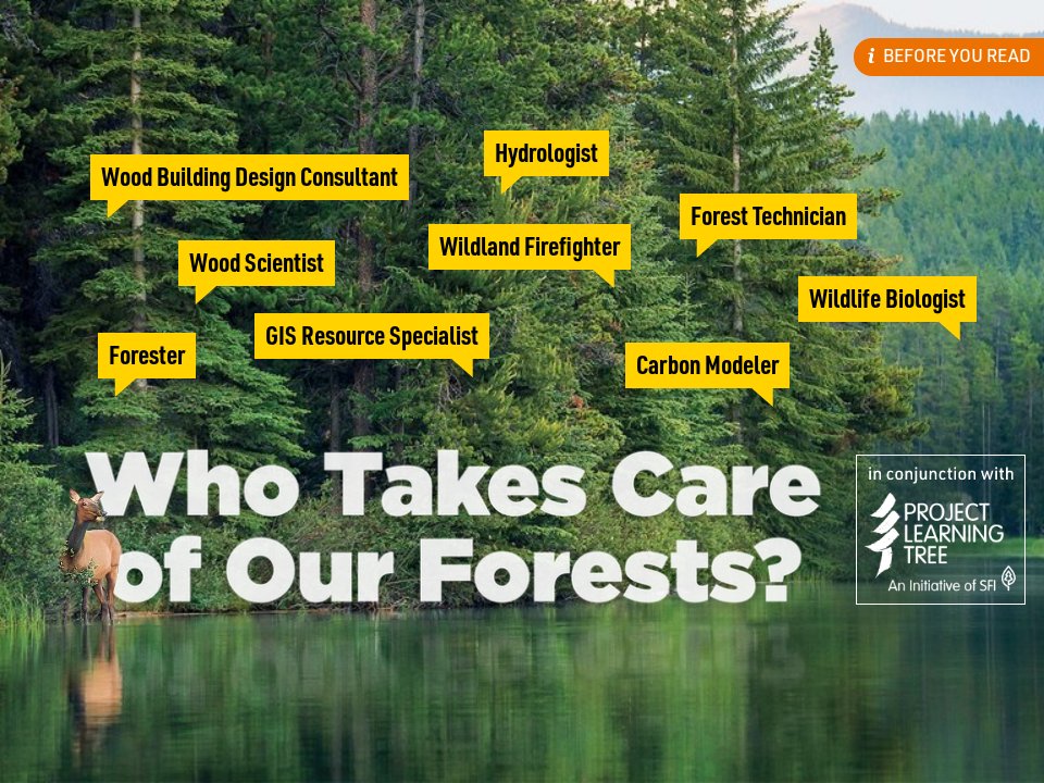 Who Takes Care of Our Forests? - Adventurer April 2020
