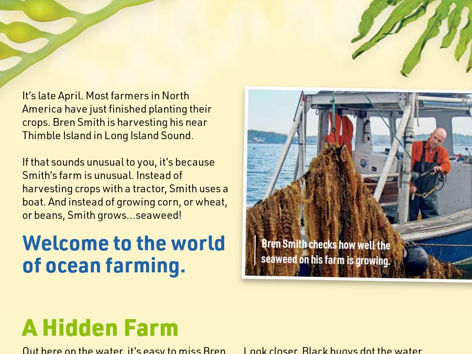A Hidden Farm & A New Kind of Farming - Ocean Supercrop - Adventurer ...