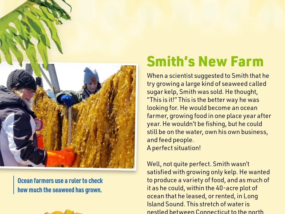 Smith’s New Farm, 3D Ocean Farming & How Do They Start? - Ocean ...