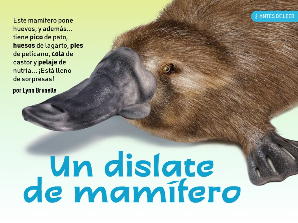 La fauna de Terranova 3 - Adventurer Marzo 2021