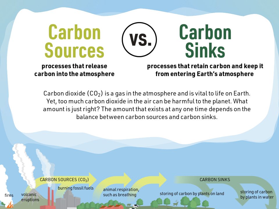 Carbon Sources & Carbon Sinks - Adventurer May 2020