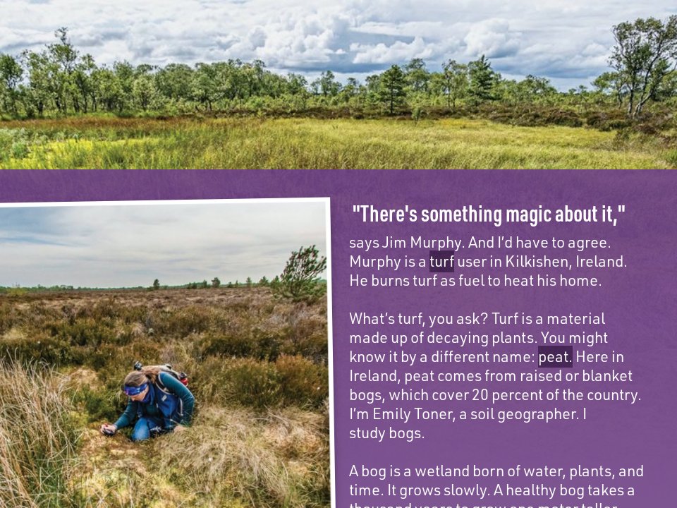 Storing Carbon, Where the Bogs Are & How Raised Bogs Form - Balance for ...