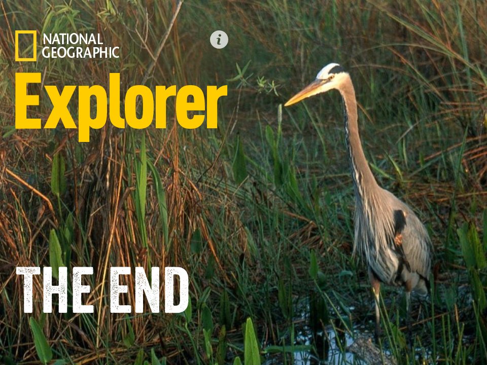 Storing Carbon, Where the Bogs Are & How Raised Bogs Form - Balance for ...