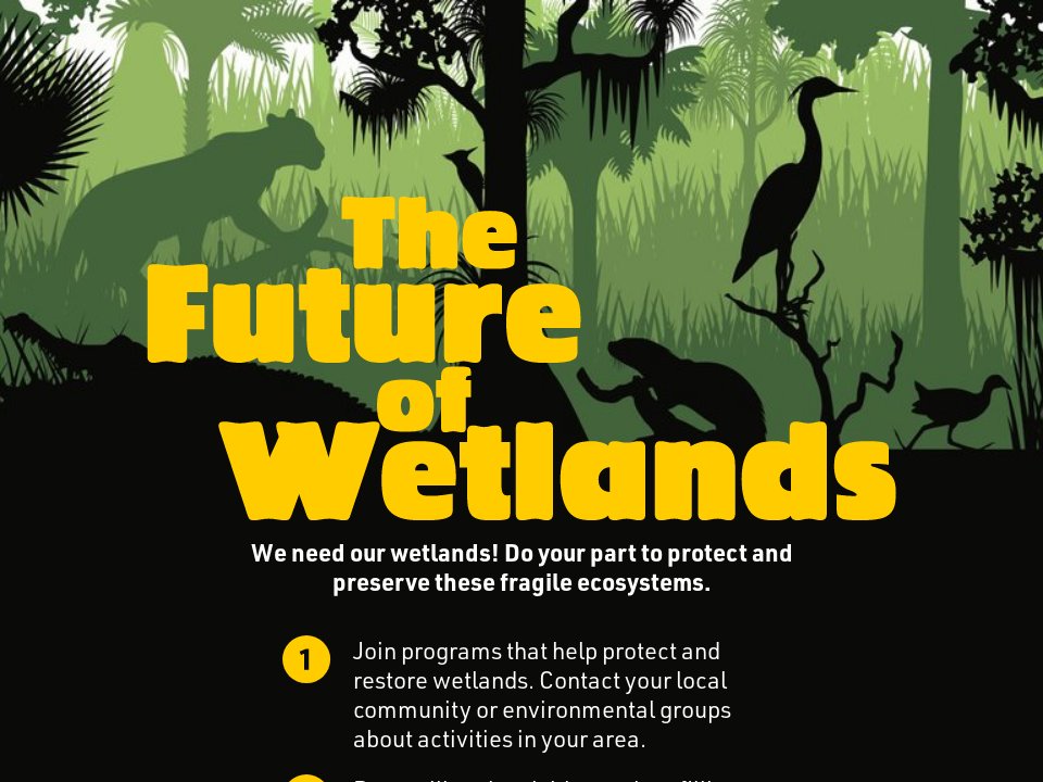 Storing Carbon, Where the Bogs Are & How Raised Bogs Form - Balance for ...