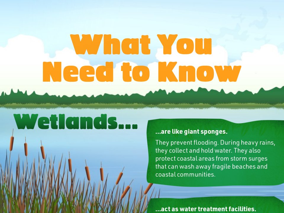 What You Need to Know & Wetlands face many threats - Special Issue ...