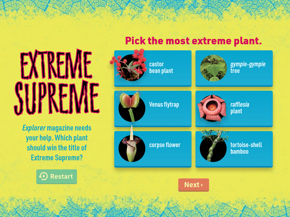 Make Archimedes Proud - Something Screwy Going On - Adventurer November/December 2018