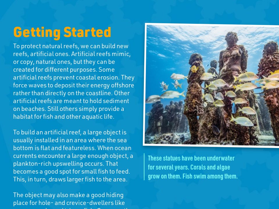 Artificial Reefs 3 - Adventurer November/December 2020