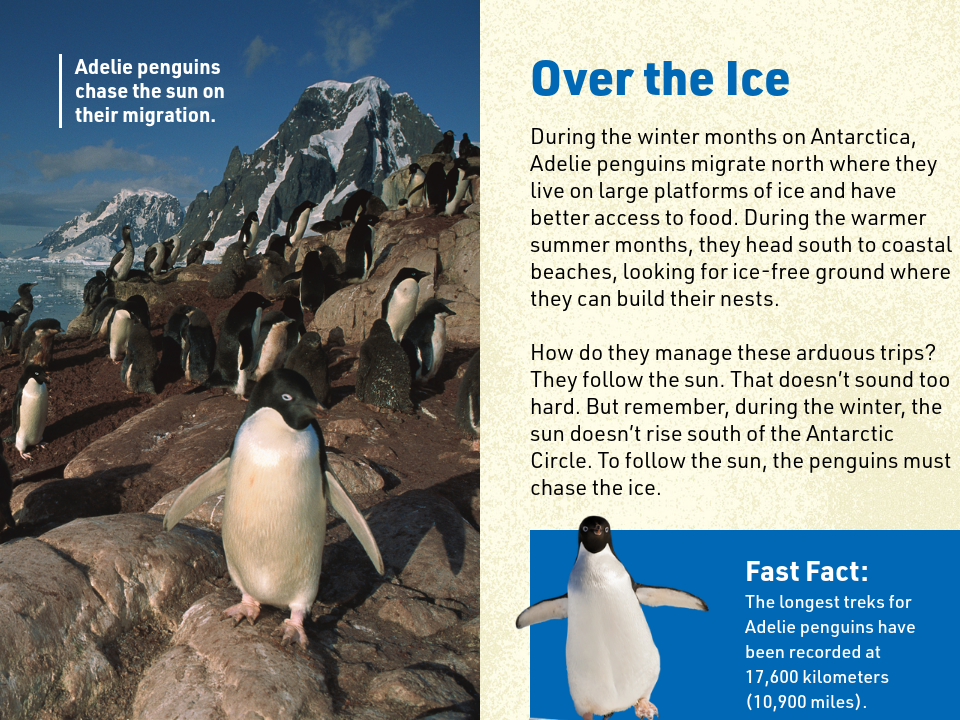 Explorer Classroom - Adventurer October 2018