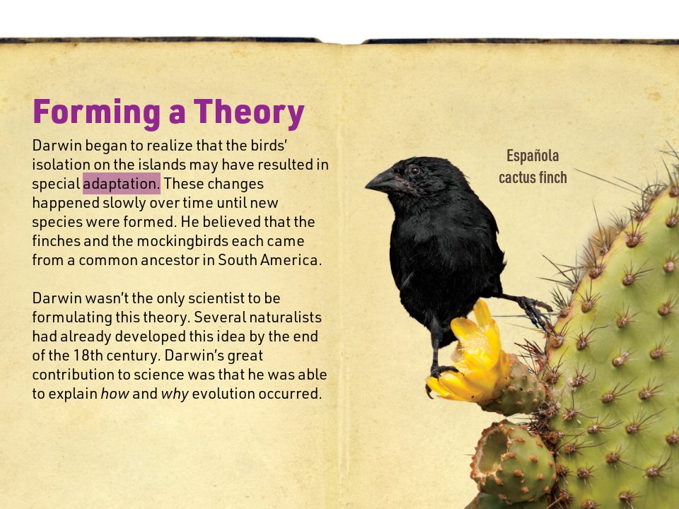 Forming a Theory - Darwin - Adventurer October 2019