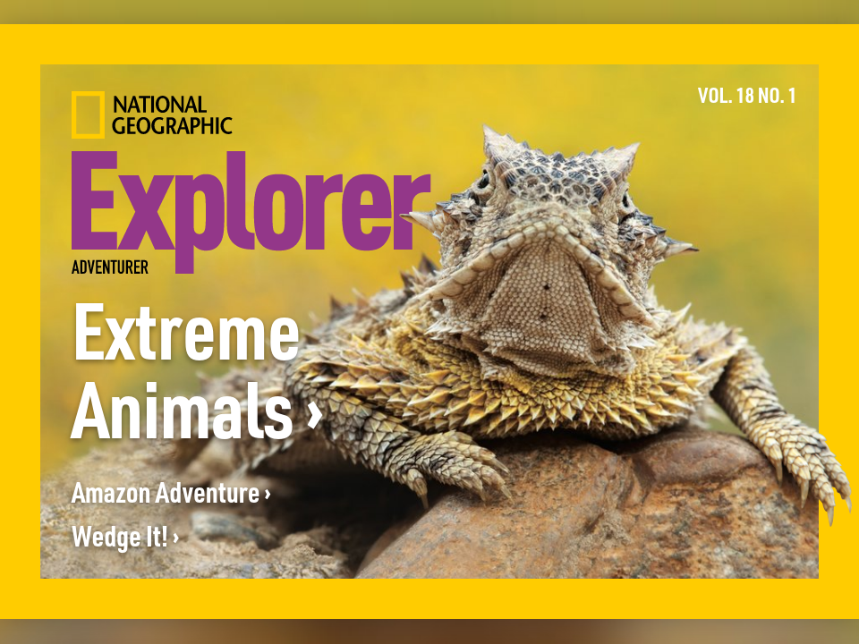 Adventurer - Adventurer September 2018