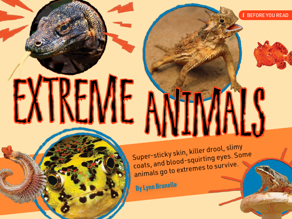 Extreme Animals - Adventurer September 2018