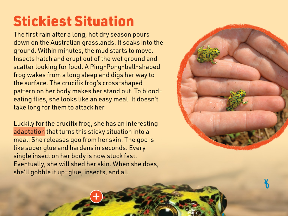 Extreme Animals - Stickiest Situation - Adventurer September 2018