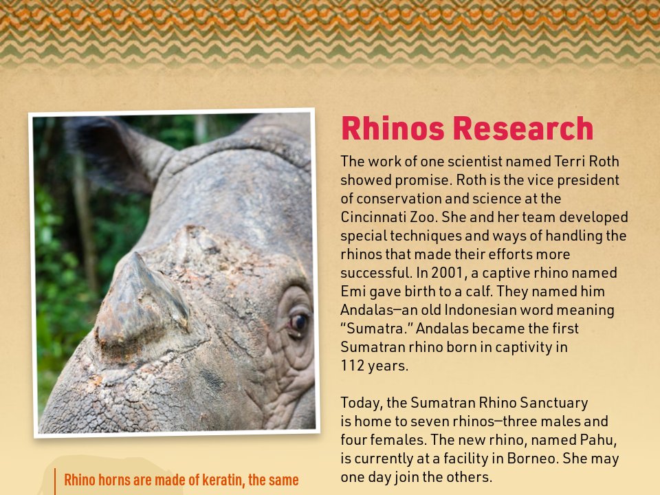 Rhinos Research & Pahu’s Rescue - Rhino Rescue - Adventurer September 2019
