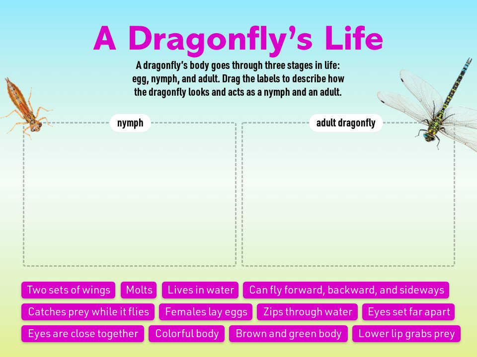 On the Trail, Discovery!, Building the Beast & Making a Model ...