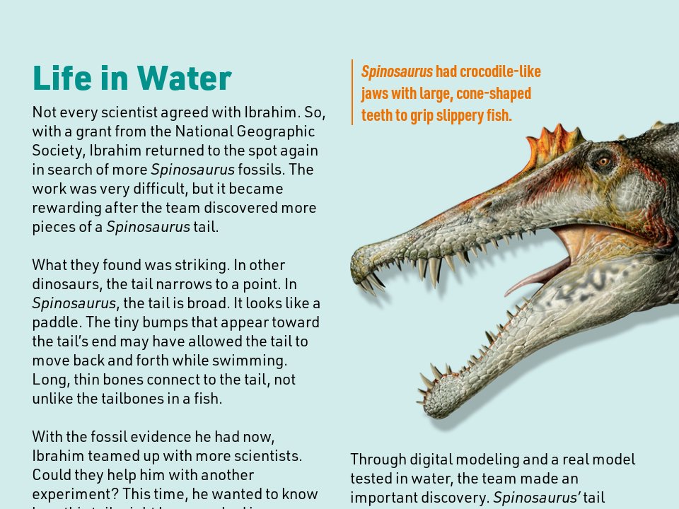 Life in Water, Questions Remain & A View Around Spinosaurus ...