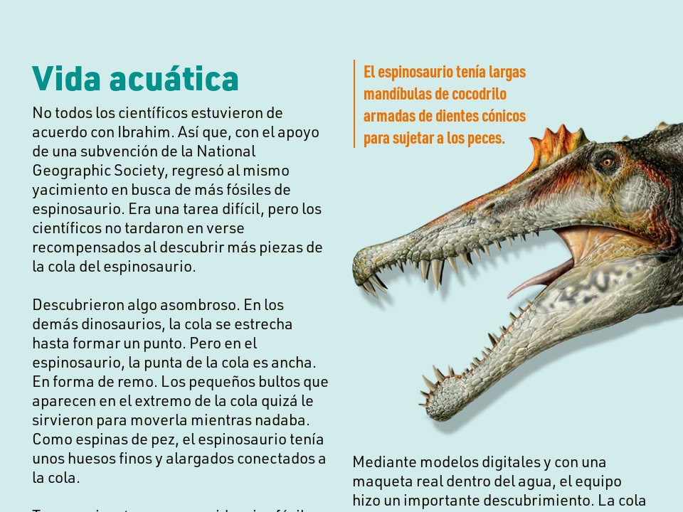 Fin - Adventurer Septiembre/Octubre 2020