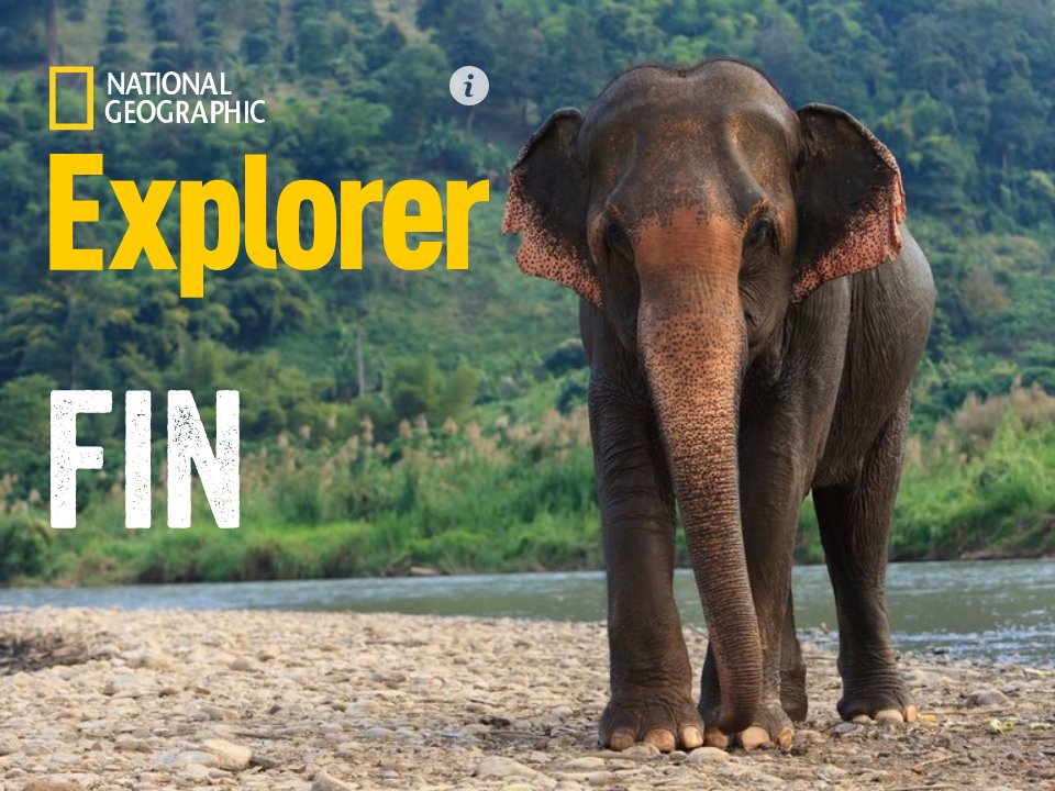 Fin - Pathfinder Abril 2021