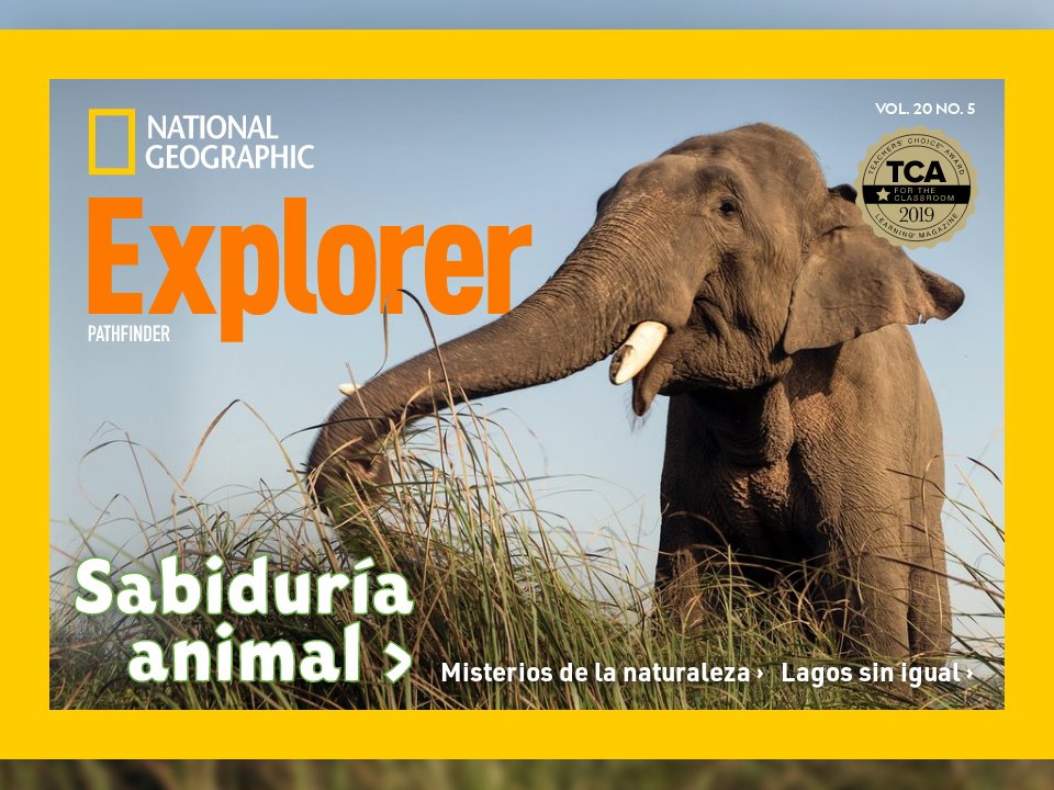 Pathfinder - Pathfinder Abril 2021