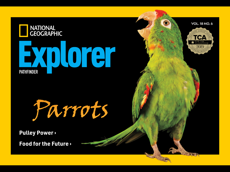 Pathfinder - Pathfinder April 2019