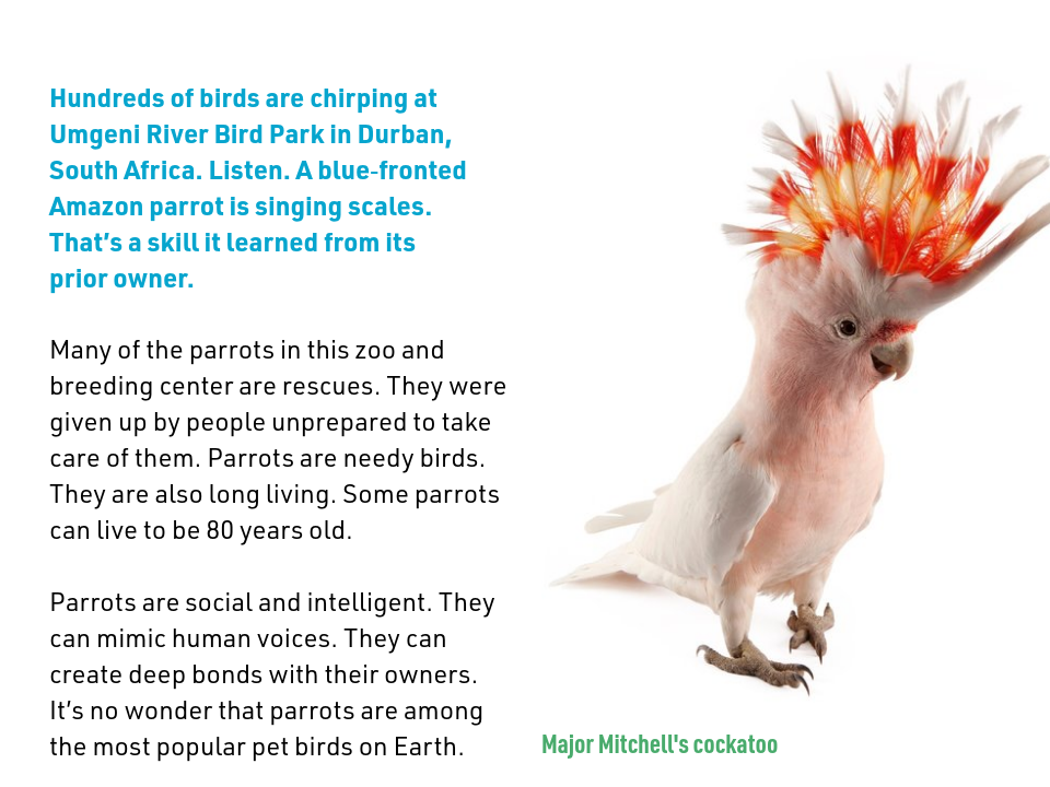 Explorer Classroom - Pathfinder April 2019