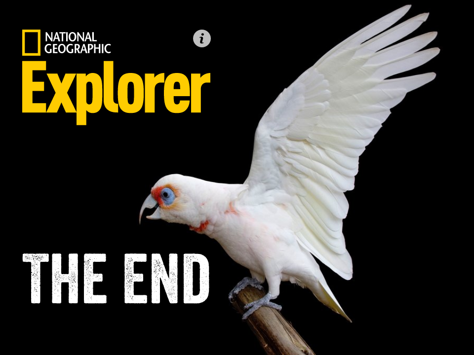 Explorer Classroom - Pathfinder April 2019