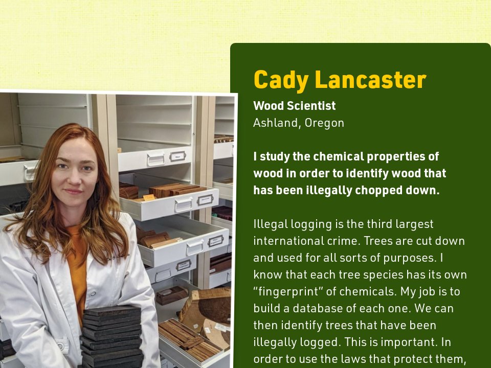 Cady Lancaster, Darren J.H. Sleep & Ashley Coble - Who Takes Care of ...