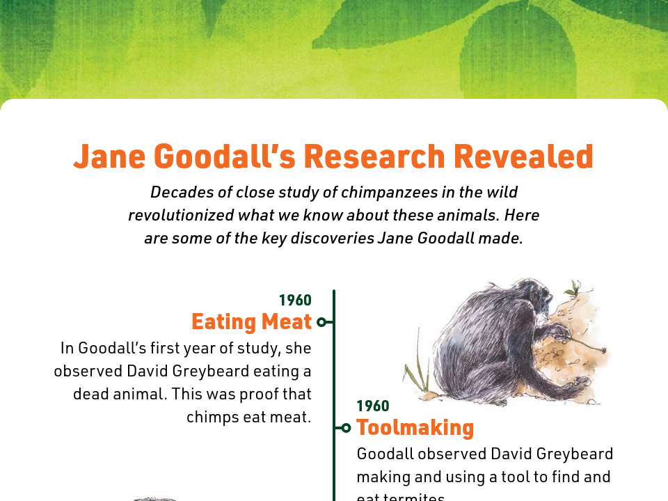 Jade Goodall's Research Revealed - Becoming Jane - Pathfinder January ...