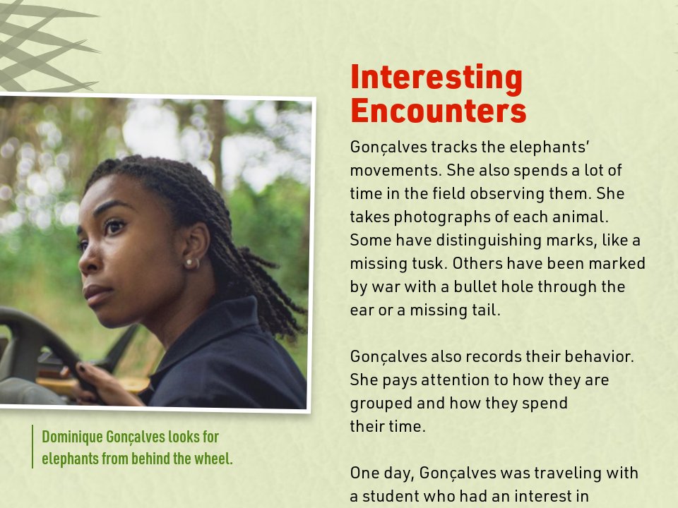 Interesting Encounters, Elephant Intervention & Lasting Impression ...