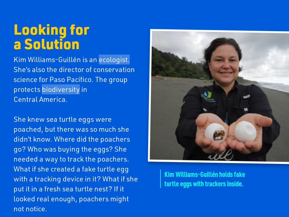 Looking for a Solution & A New Idea - To Catch a Thief - Pathfinder ...