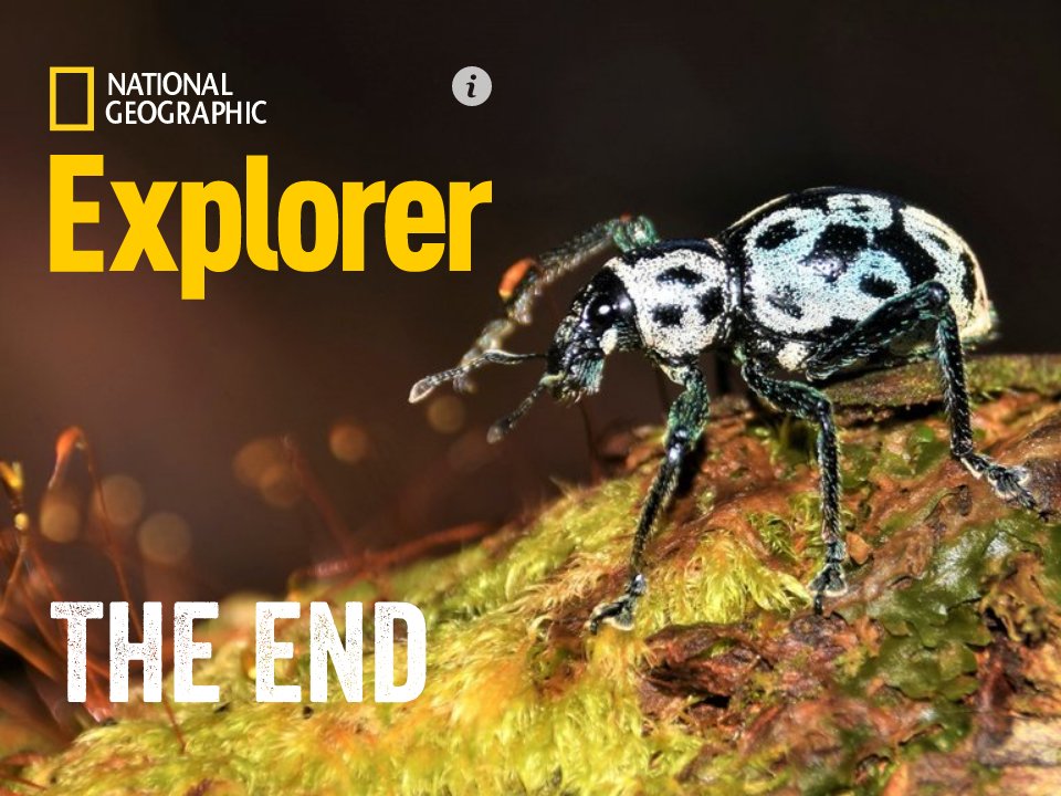 The End - Pathfinder January/February 2021