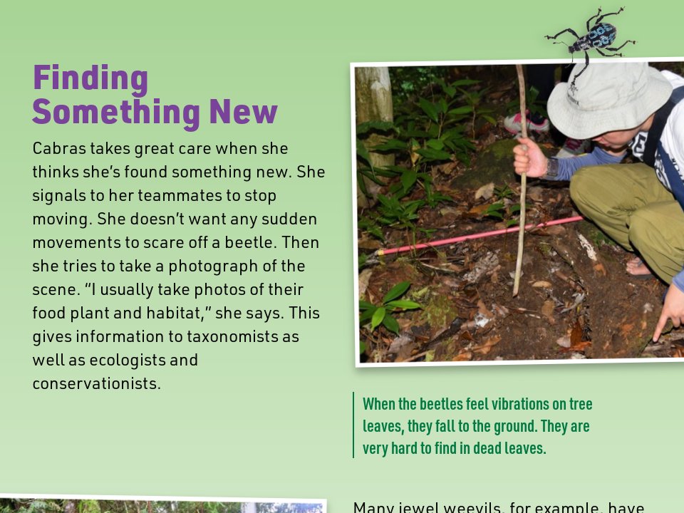 Waiting to be Discovered 3 - Pathfinder January/February 2021