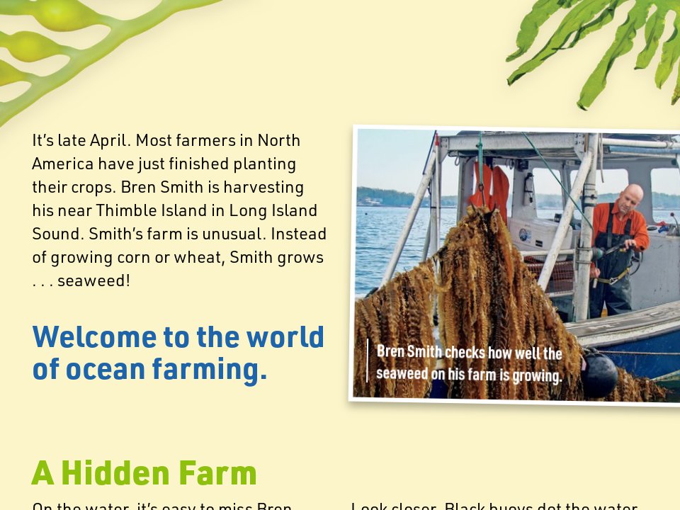A Hidden Farm & A New Kind of Farming - Ocean Supercrop - Pathfinder ...