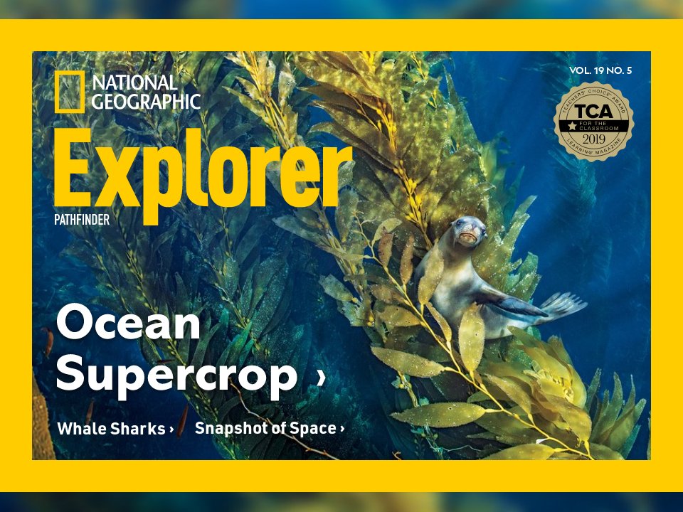 cover - Pathfinder March 2020