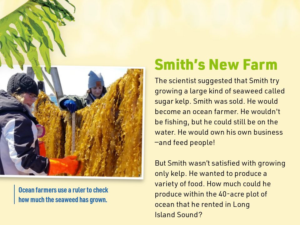 Smith’s New Farm, 3D Ocean Farming & How Do They Start? - Ocean ...