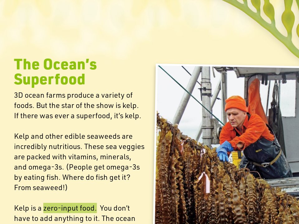 The Ocean’s Superfood & The Ocean’s Superfood - Ocean Supercrop ...