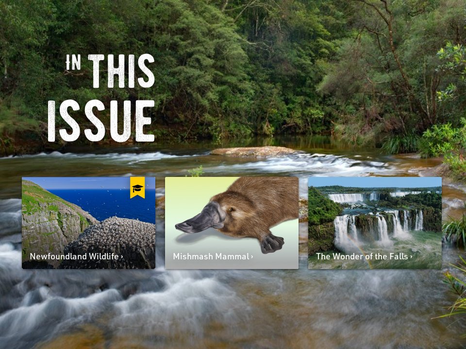 In This Issue - Pathfinder March 2021