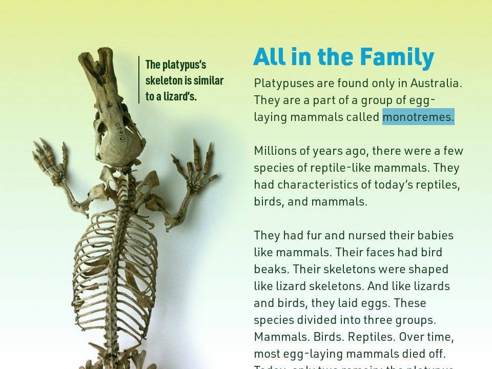 Mismash Mammal 3 - Pathfinder March 2021