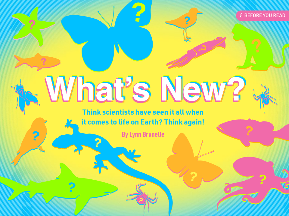 What's New? - Pathfinder May 2019