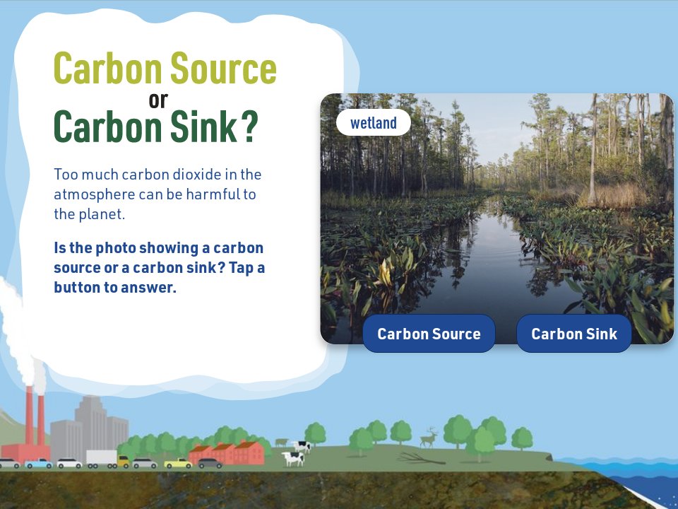 Carbon Sources & Carbon Sinks - Pathfinder May 2020