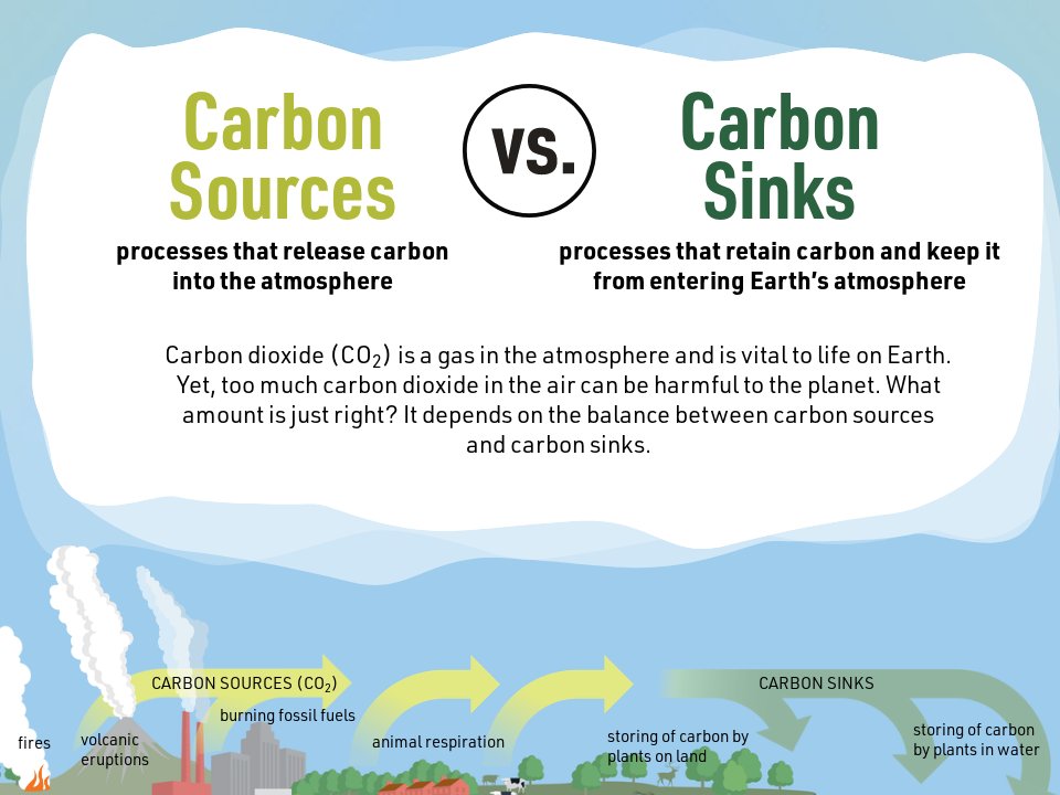 Carbon Sources & Carbon Sinks - Pathfinder May 2020