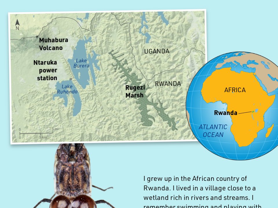 Facing a Crisis & Signs of Health - Flying Flowers of Rwanda ...