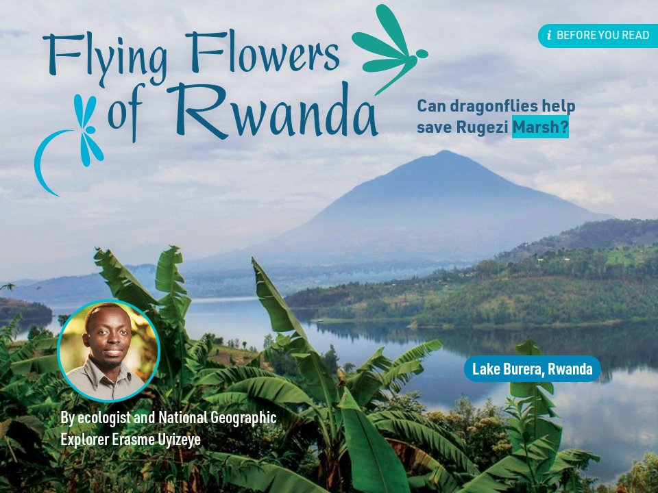 Carbon Sources & Carbon Sinks - Pathfinder May 2020