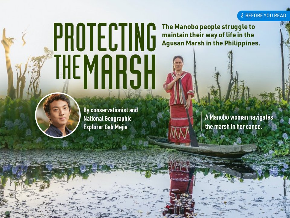 Protecting the Marsh - Pathfinder May 2020