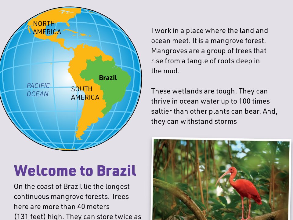 Carbon Sources & Carbon Sinks - Pathfinder May 2020