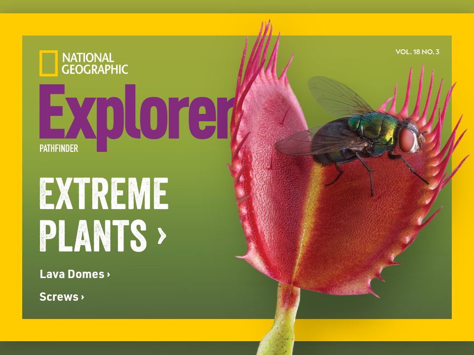 Pathfinder - Pathfinder November/December 2018