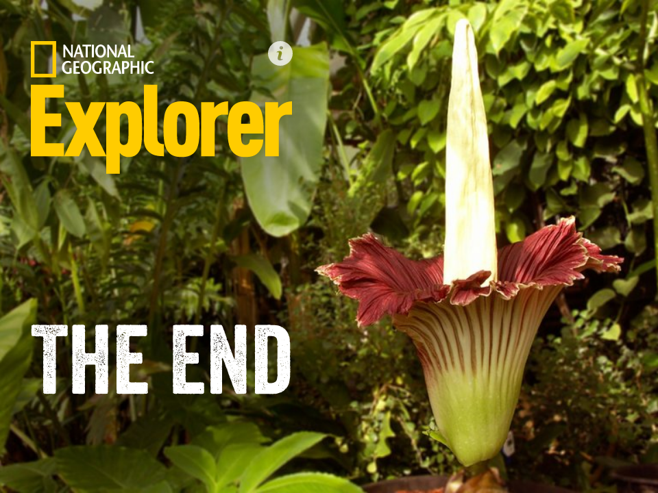 The End - Pathfinder November/December 2018